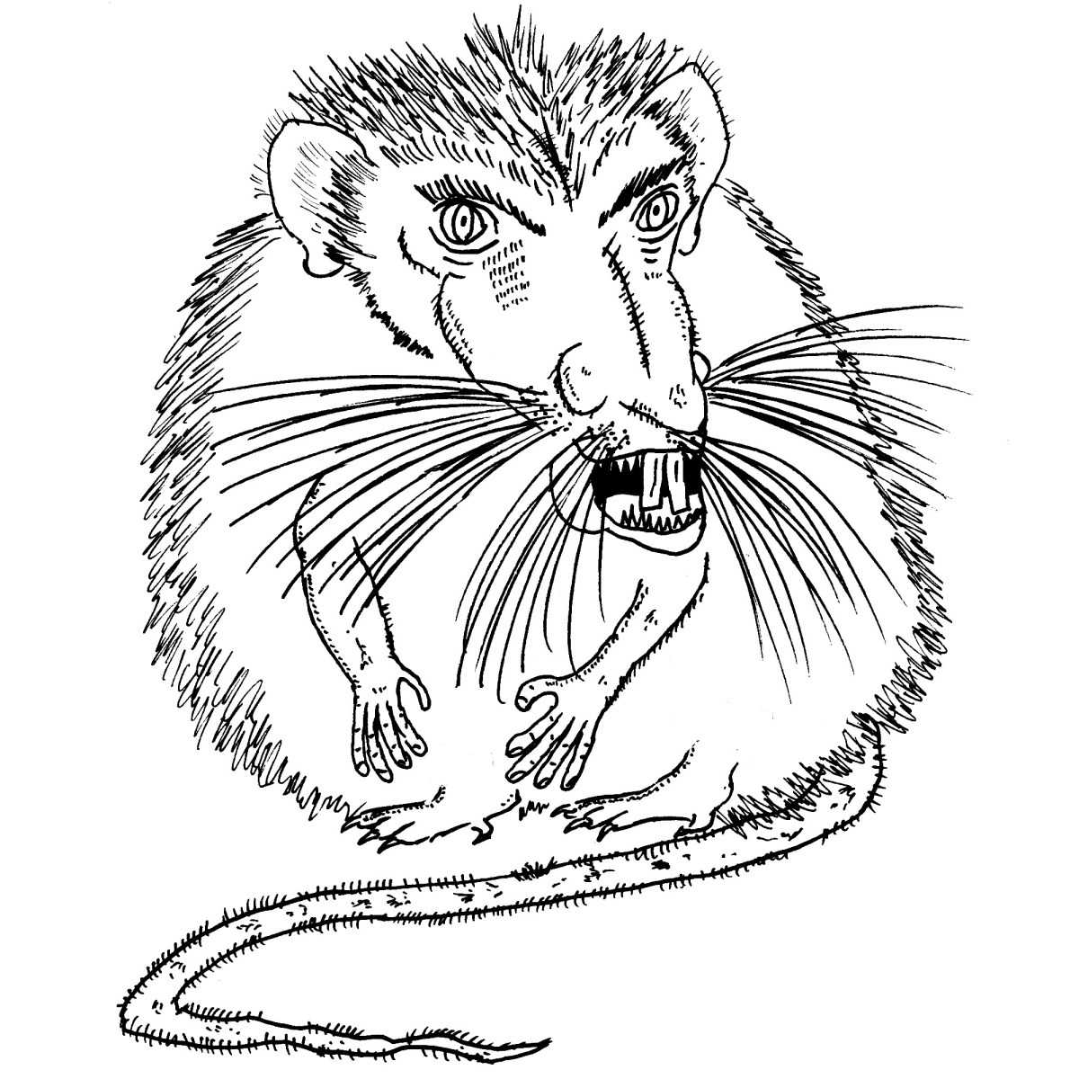 Monster Monday #19.2: Rat-thing – BUMP IN THE DUNGEON